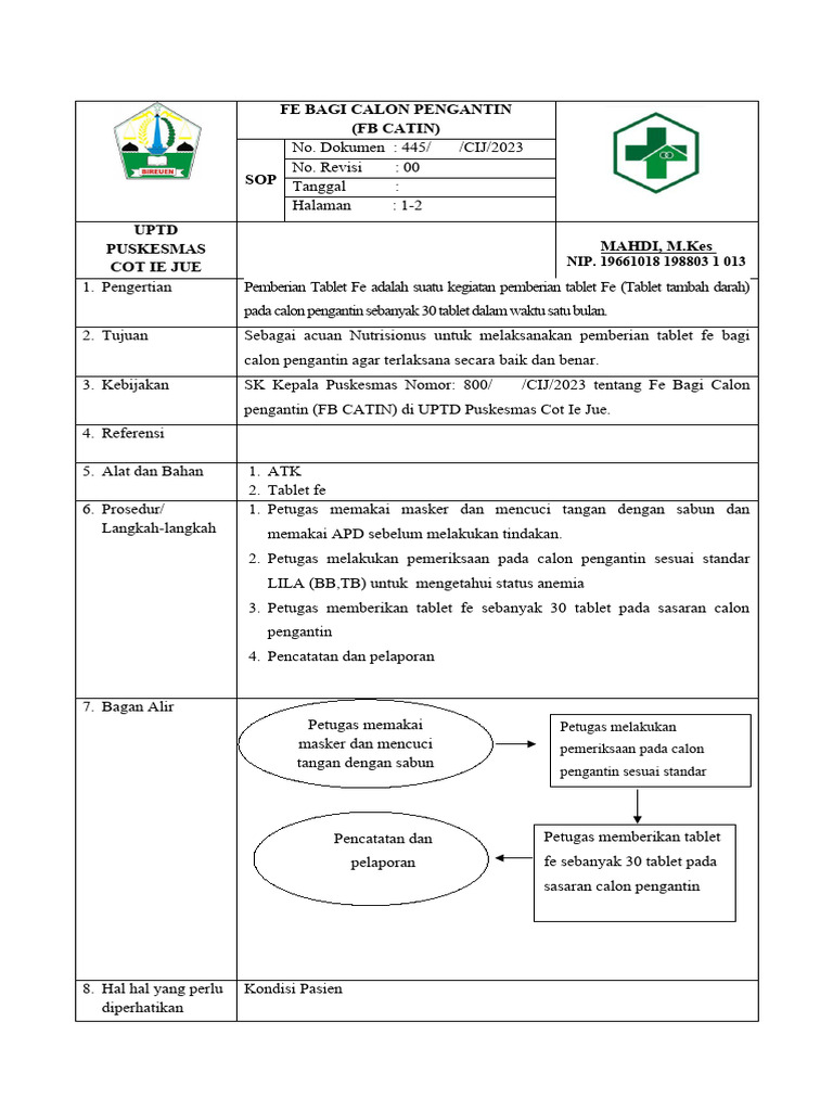 Pemberian Tablet Fe untuk Catin | PDF