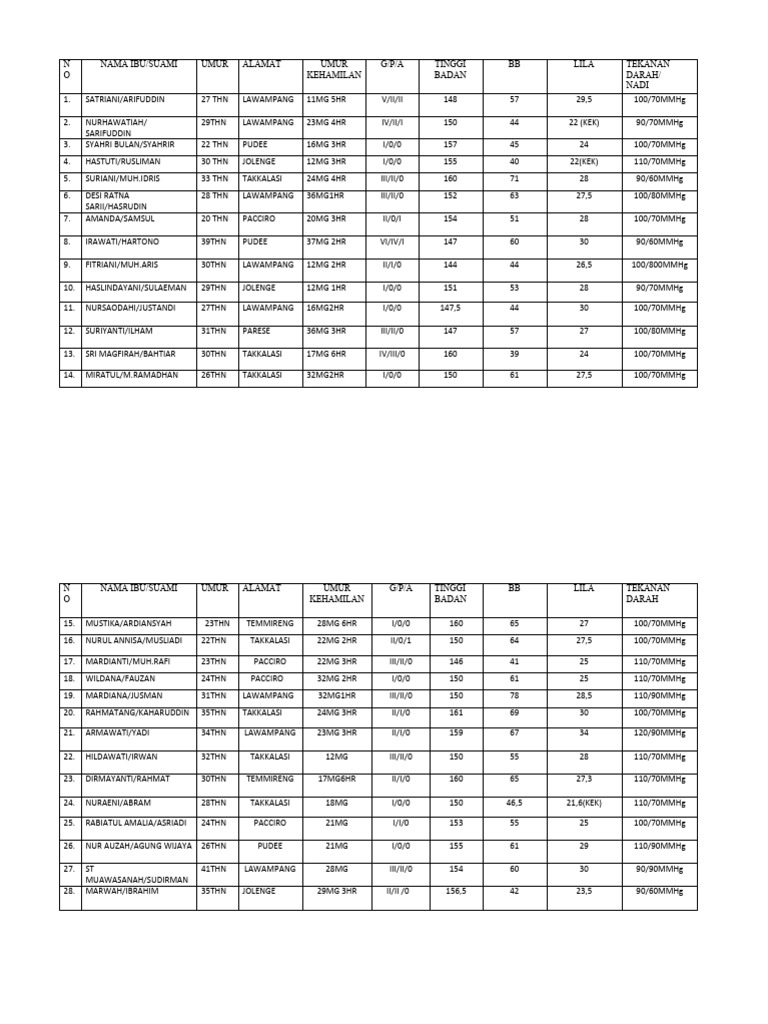 DATA IBU HAMIL 2023 | PDF