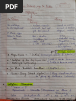 Writing and City Life Notes Class 11 History | PDF | Social Science ...