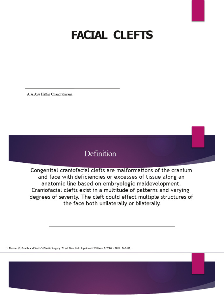 Facial Clefts | PDF | Human Nose | Human Head And Neck