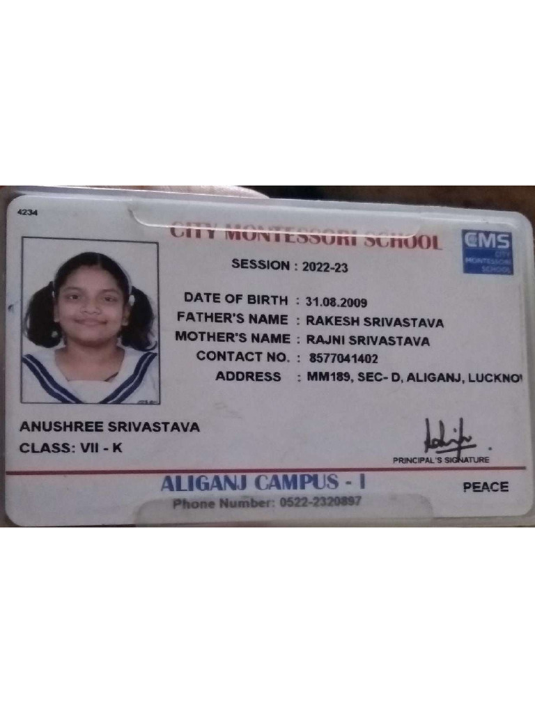 Anushree | PDF