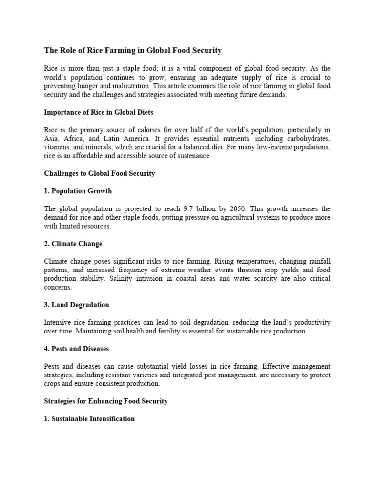 The Role of Rice Farming in Global Food Security | PDF | Rice | Agriculture