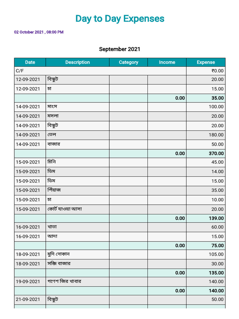 Day To Day - Expenses | PDF