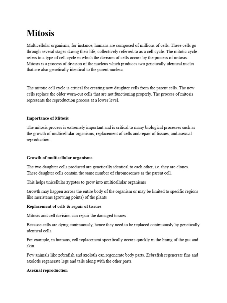 A Level Notes Mitosis | PDF