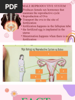 Menstrual Cycle Graph | PDF