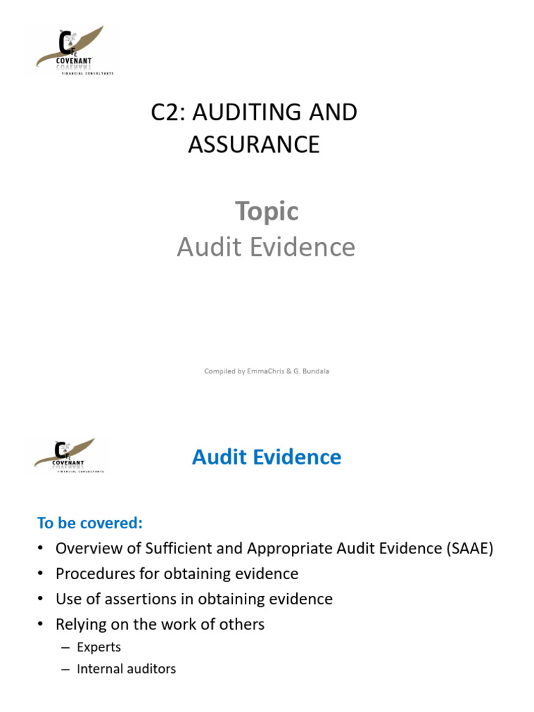 Audit Evidence Handout | PDF | Audit | Financial Audit
