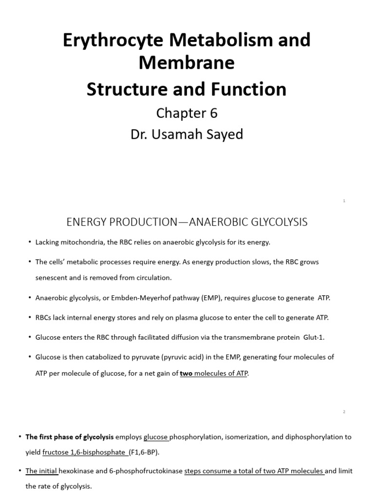 DH1 Unit 04 Erythrocyte Metabolism and Membrane Structure and Function | PDF | Glycolysis | Cell ...