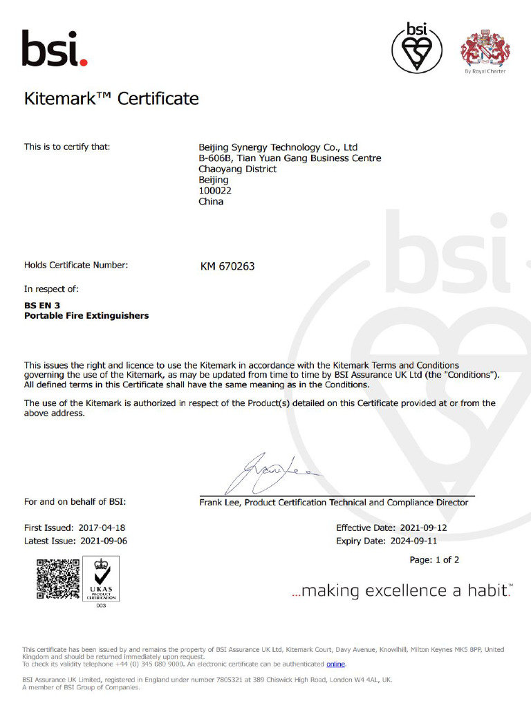 Synergy Certificate 2024 | PDF | Pipe (Fluid Conveyance)