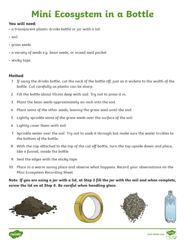 Mini Ecosystem in A Bottle Activity Sheet | PDF