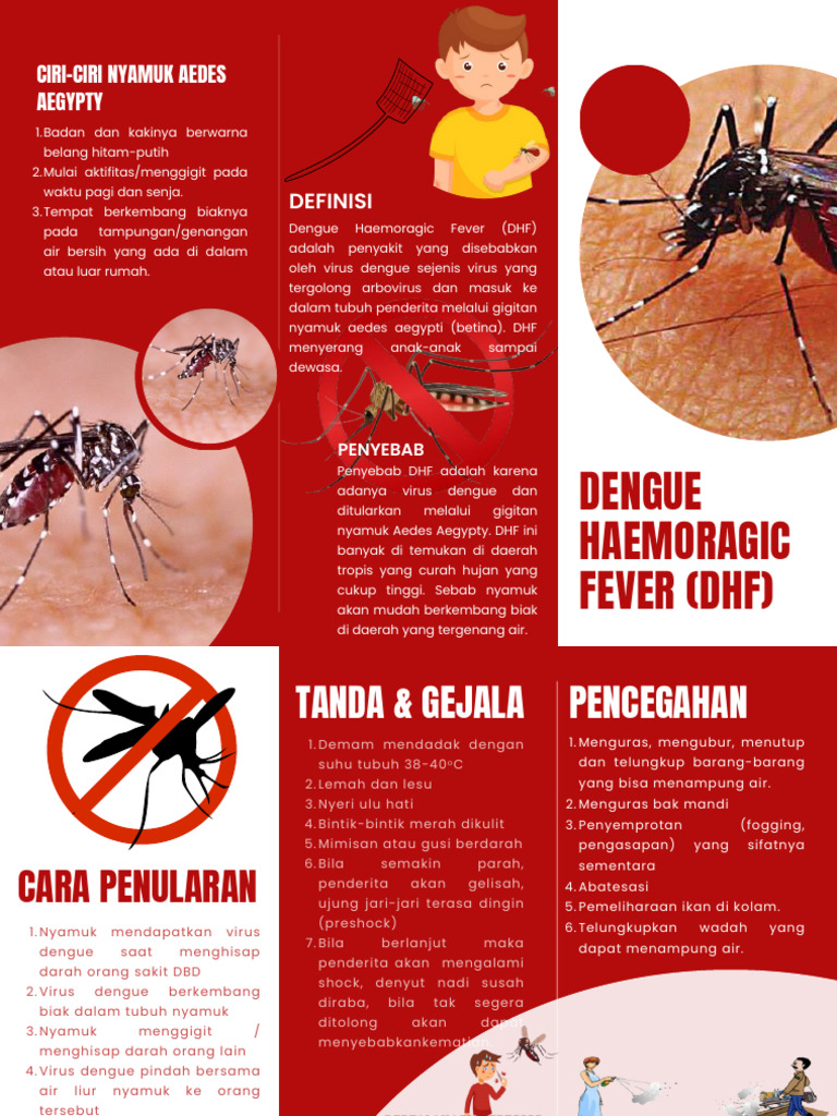 Leaflet DHF | PDF