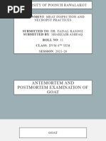 Normal Vital Signs for Goats | PDF | Goat | Thermoregulation