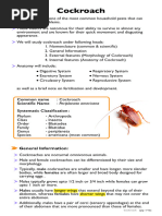 Cockroach Ncert | PDF