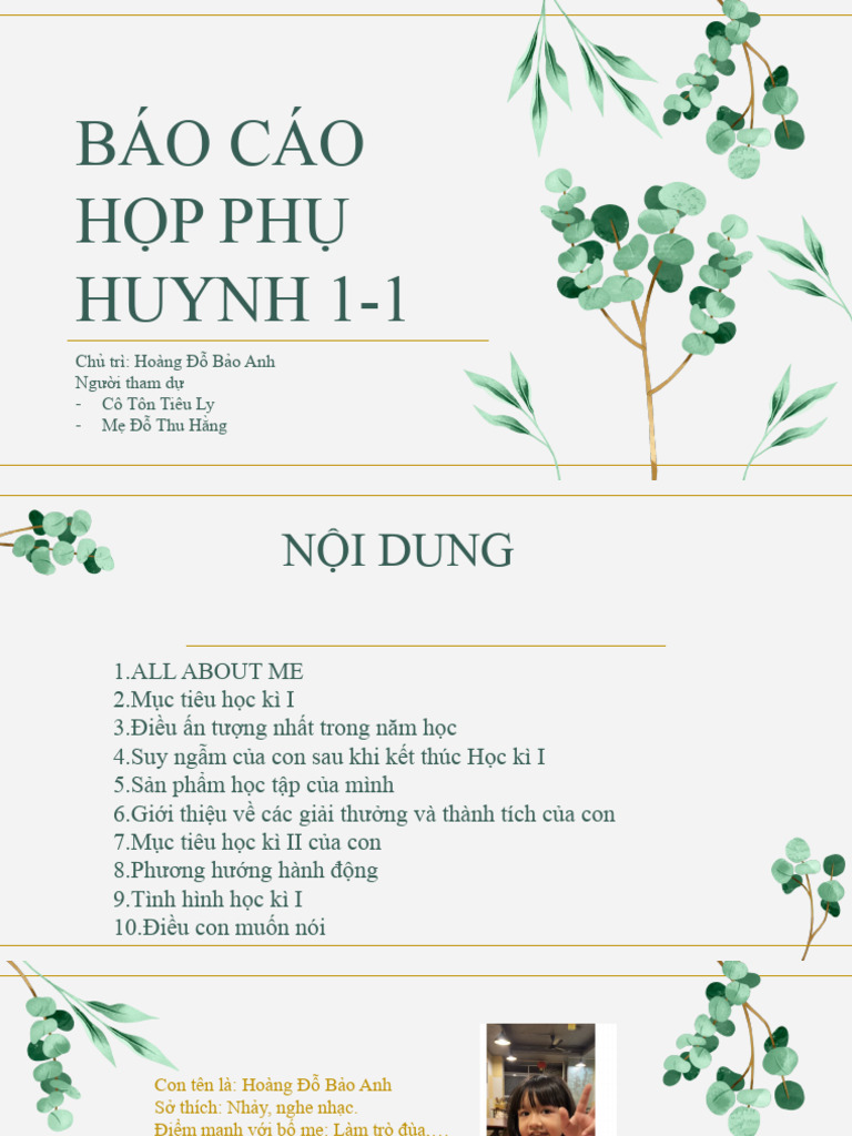 Hoàng Đỗ Bảo Anh (HPH 1-1) | PDF