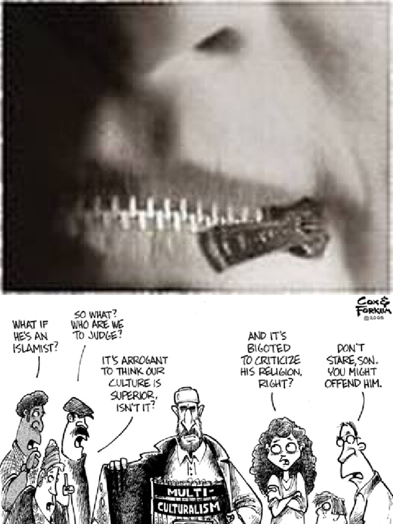 Understanding Political Correctness | PDF | Science & Mathematics