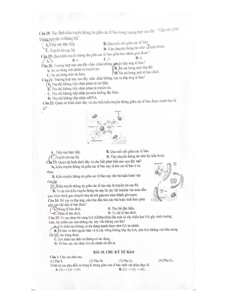 A. Sur Sai Hong Mot Phan Tu Truyen Tin. | PDF