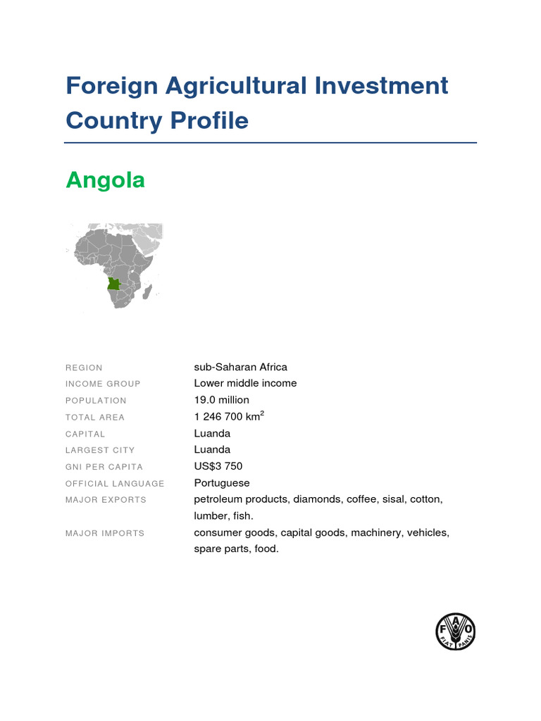 Angola Country Profile Final | PDF | Capital Gains Tax | Taxes