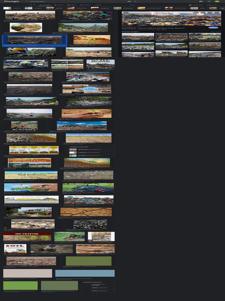 Soil Pollution - Google Search | PDF | Pollution | Soil