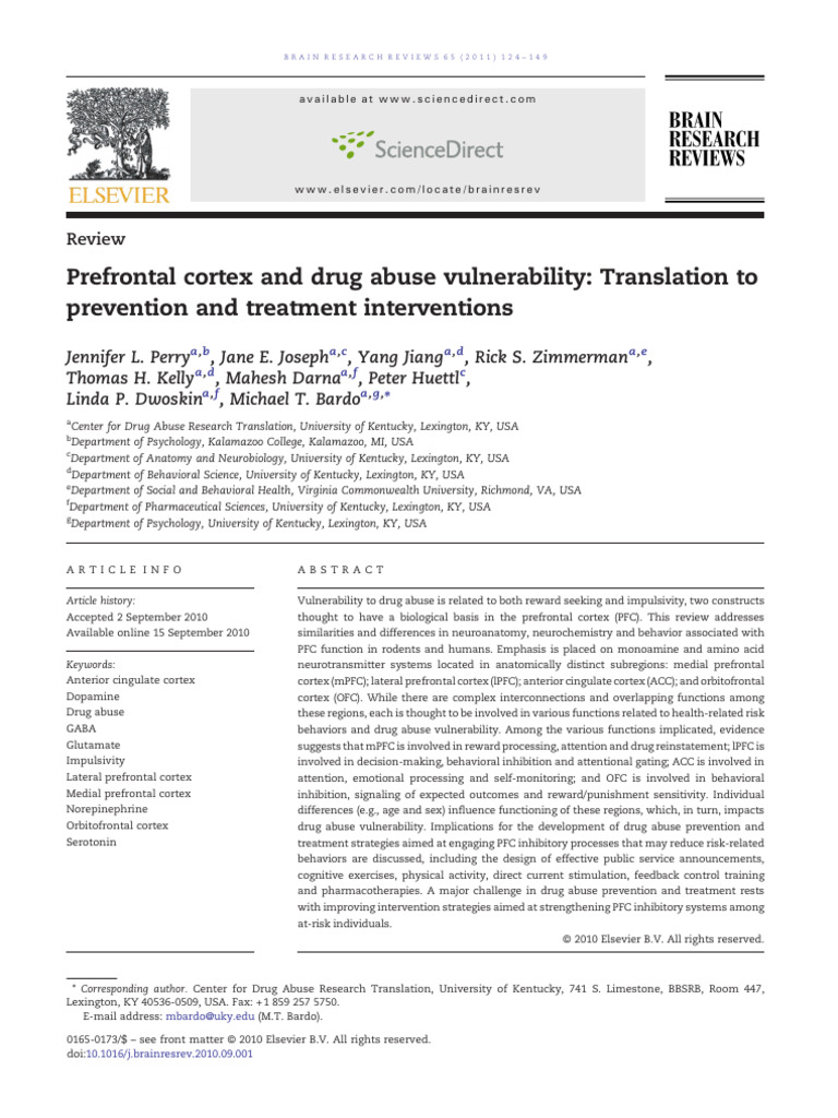 Prefrontal Cortex and Drug Abuse Vulnerability | PDF | Prefrontal ...