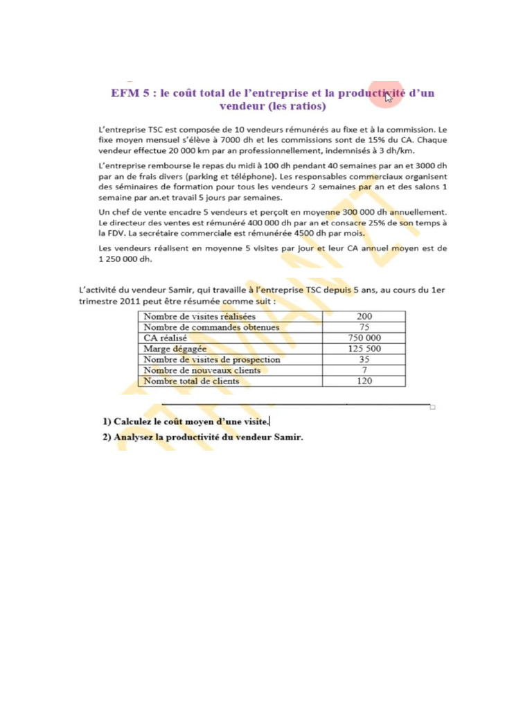 EFM Les ratios | PDF