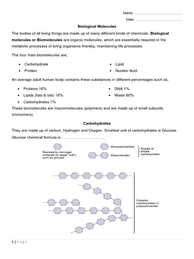 Overview of Biological Molecules | PDF | Carbohydrates | Biomolecules