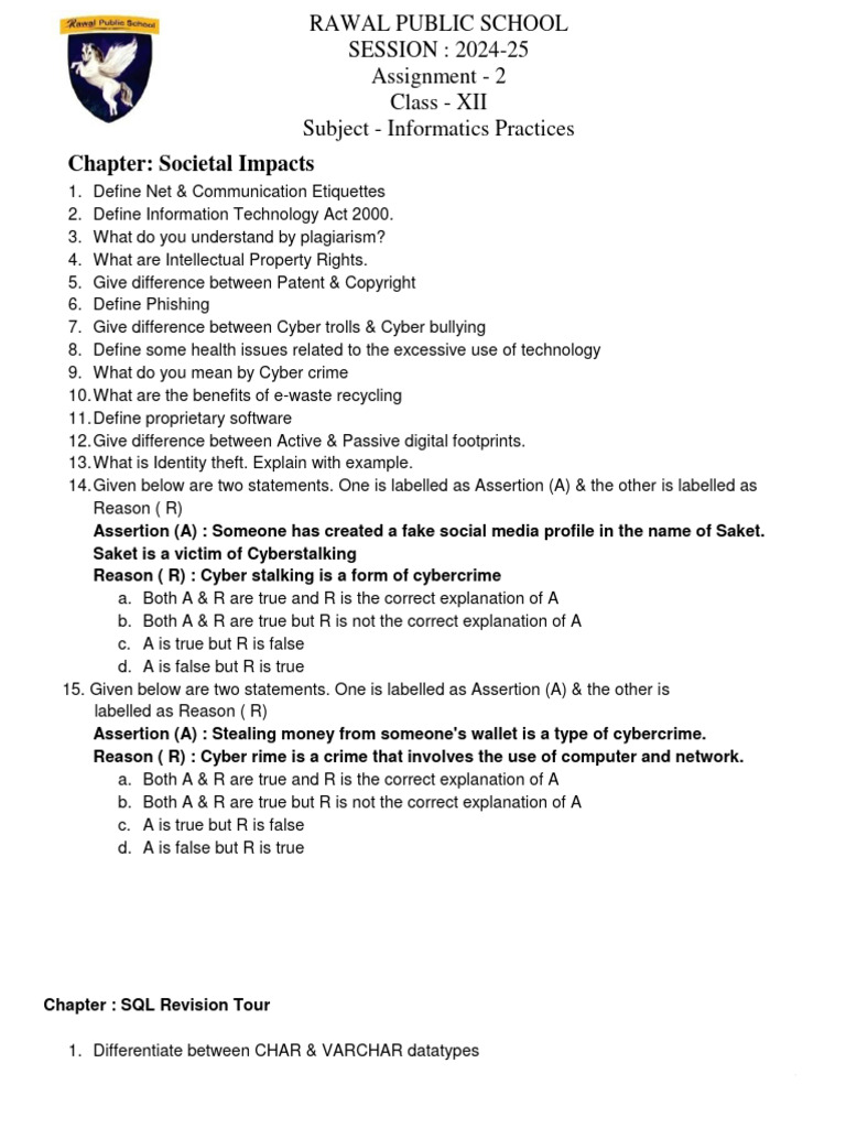 XII IP Assign PA2 (2024-25) | PDF | Table (Database) | Cybercrime