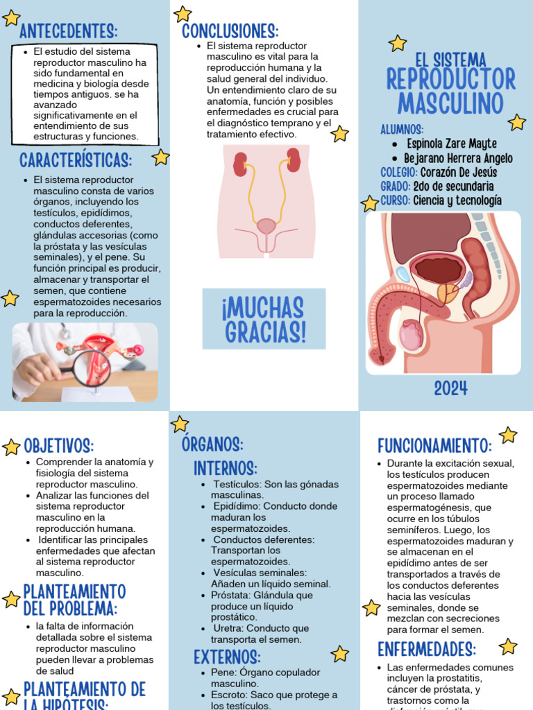 Tripticos Cyt | PDF | Sistema reproductivo | Semen