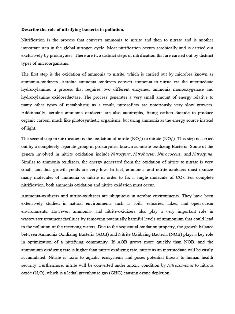 Role of Nitrifying Bacteria in Pollution | PDF | Earth Sciences ...