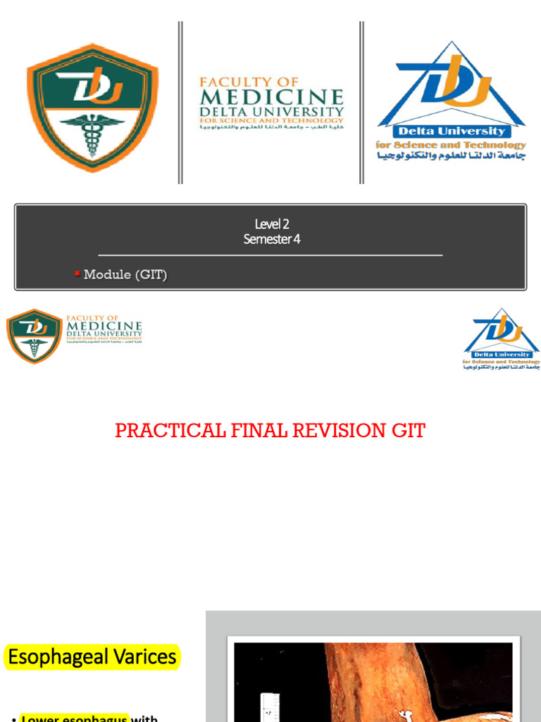 Git Practical Final Revision | PDF | Cirrhosis | Esophagus