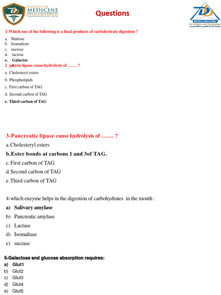 Midterm Git Biochemistry Mcq Saq Answered Pdf Digestion Amino Acid 
