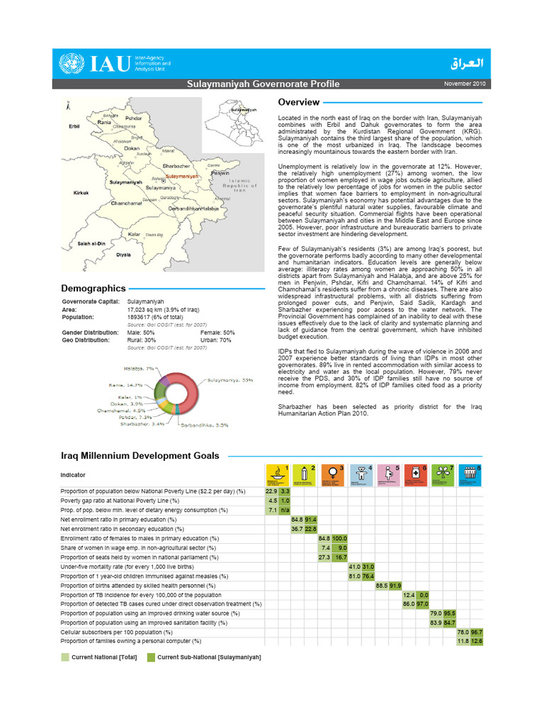 IAU Sulaymanyah Profile | PDF | Economies