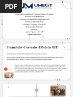 Convenio OIT 155: Seguridad Laboral | PDF | Tratado | Organización Internacional del Trabajo
