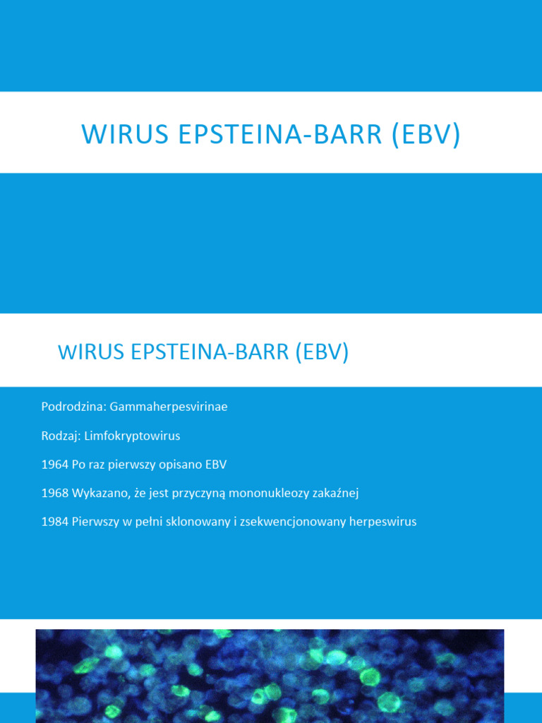 Wirus Epsteina-Barr (Ebv) | PDF