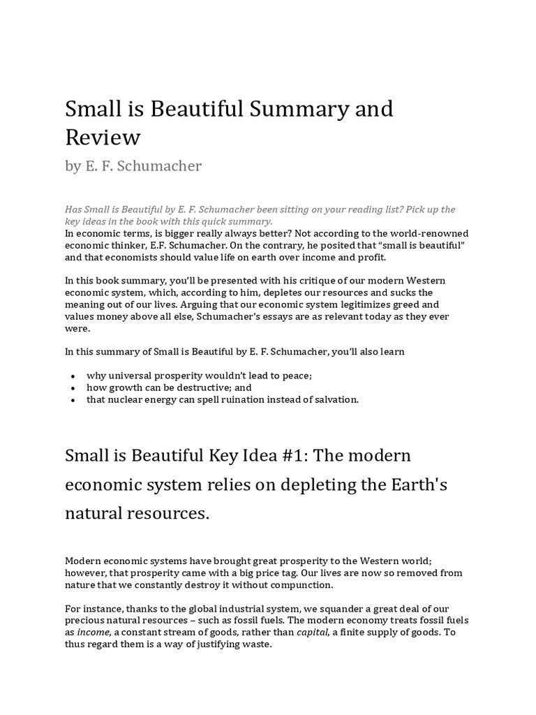Summary of "Small is Beautiful" | PDF | Nuclear Power | Poverty