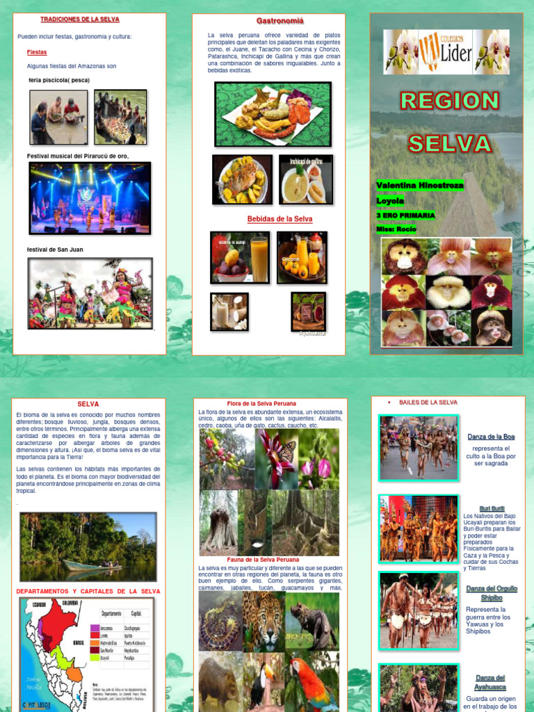 la selva triptico | PDF | Selva