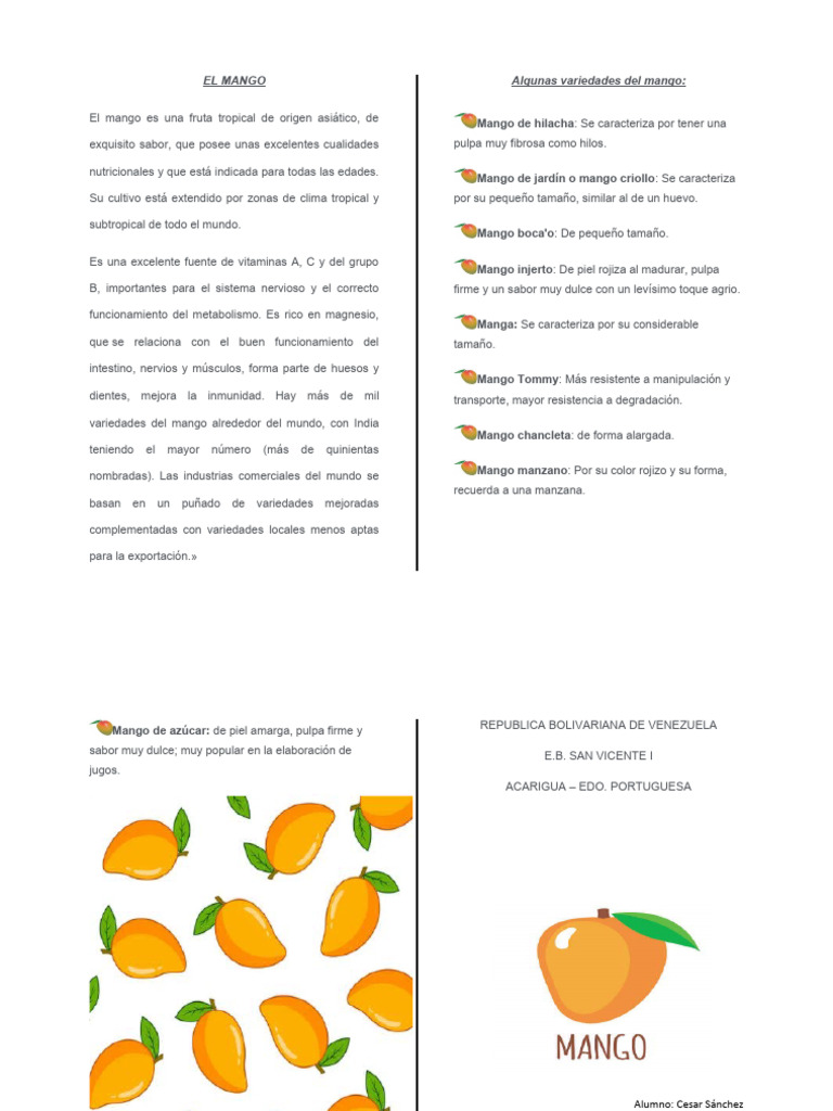 El Mango | PDF | Mango | Fruta