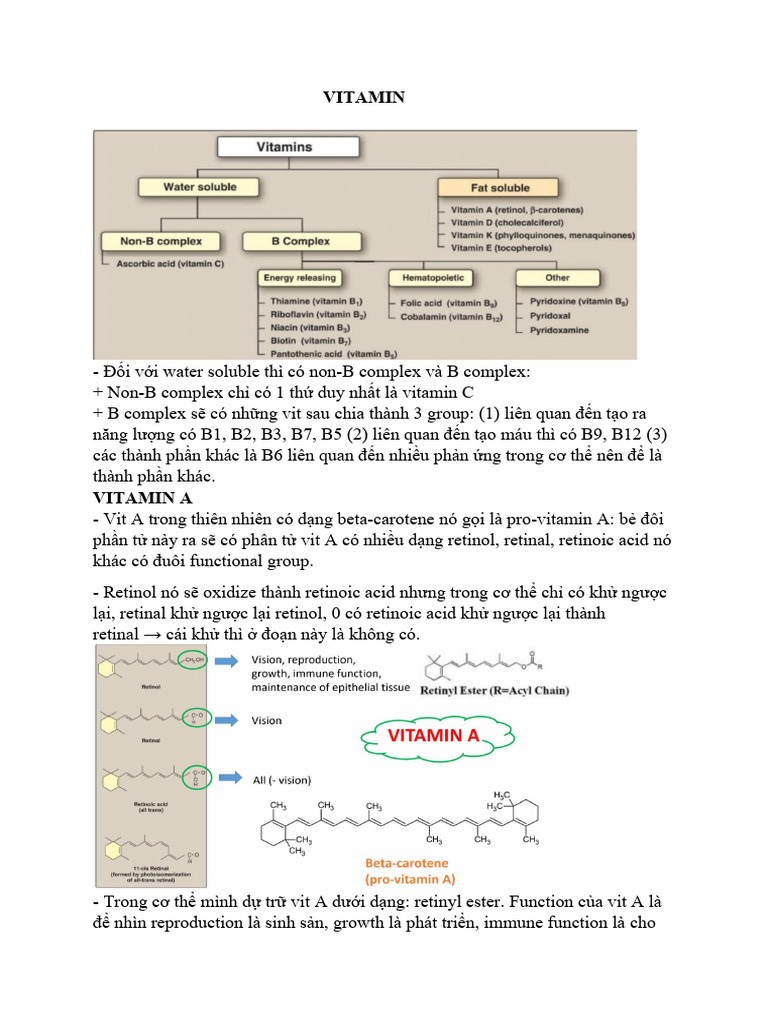 VITAMIN | PDF