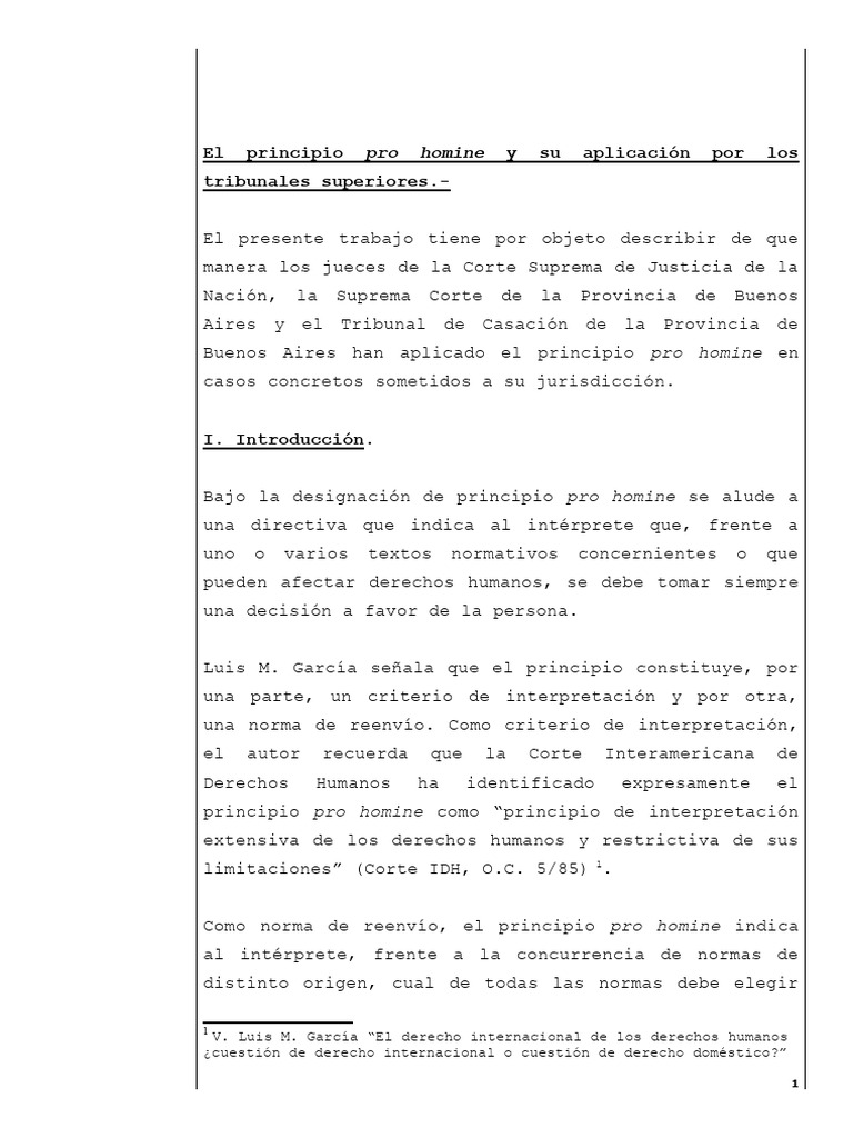 Documento de Trabajo - PRINCIPIO PRO HOMINE | PDF | Precedente | Justicia