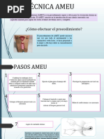 Tipos de himen y sus características | PDF