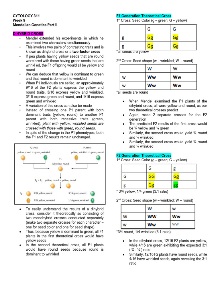 Dihybrid Cross in Mendelian Genetics | PDF | Genetics | Biology