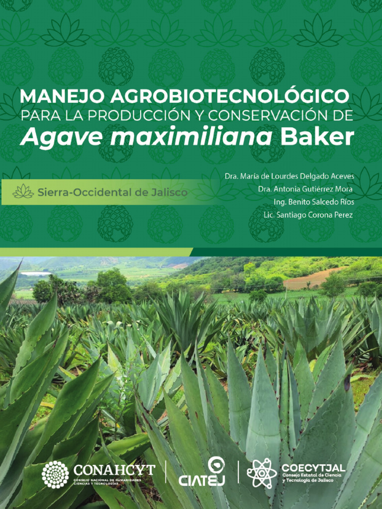 Manejo Agrobiotecnológico para La Producción y Conservación de Agave Maximiliana Baker | PDF ...