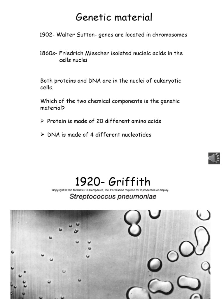 Lecture 1-Genetic Material, DNA Structure and Replication-2 | PDF | Dna ...