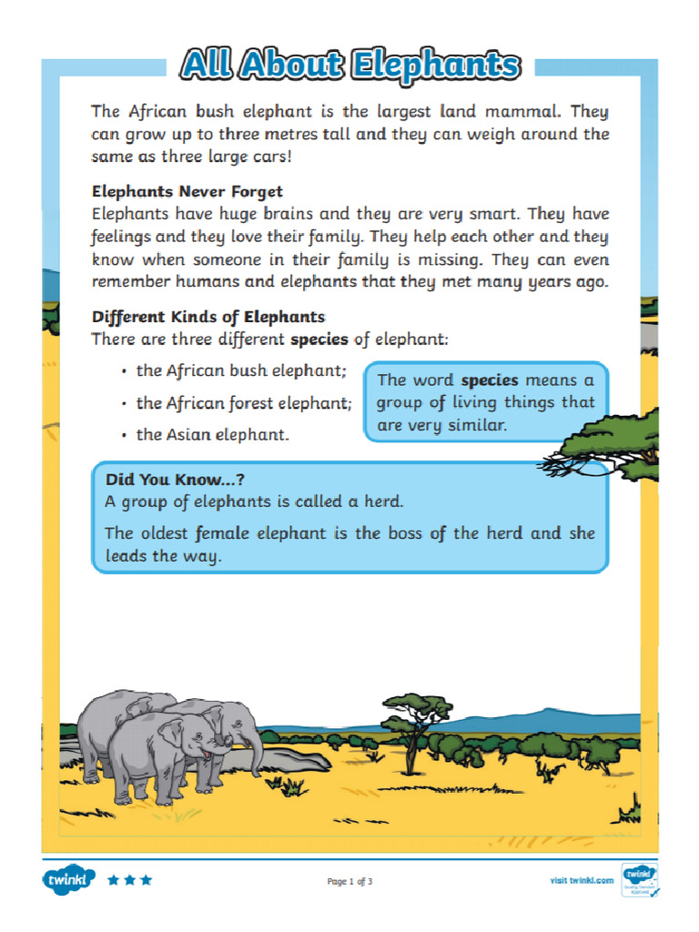 Elephants Reading Comprehension | PDF