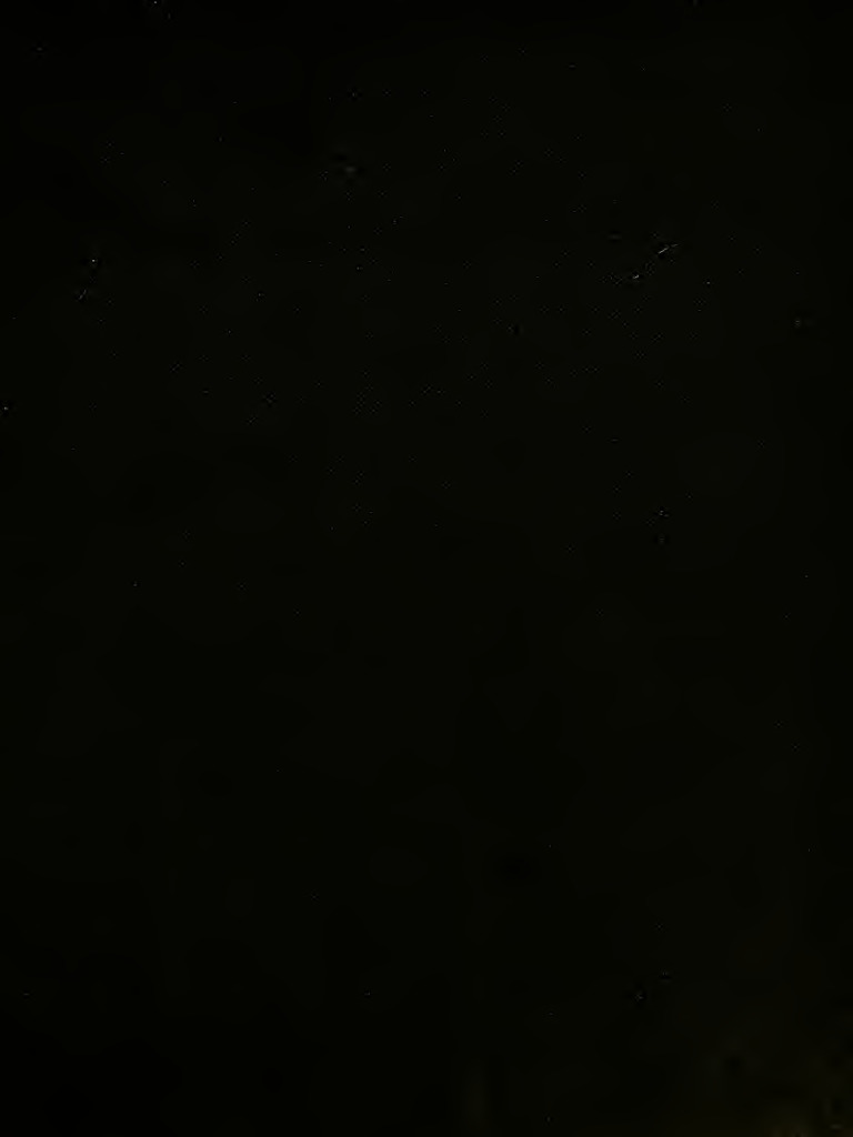 Godbey Bible 1902 Translation of The New Testament From The Original ...