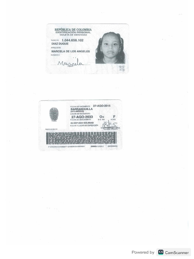 Tarjeta De Identidad Pdf