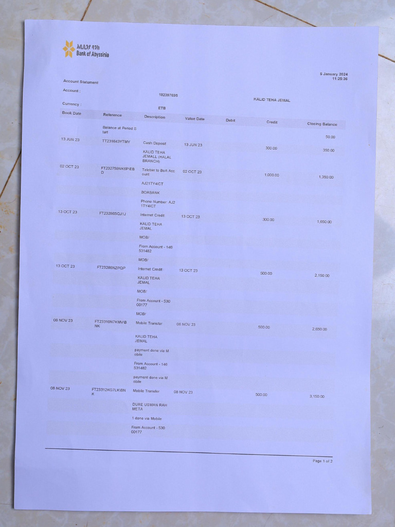 Payoneer Bank Statement | PDF