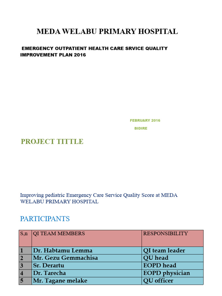 Emergency Opd Qi Project Plan | PDF | Hospital | Health Care