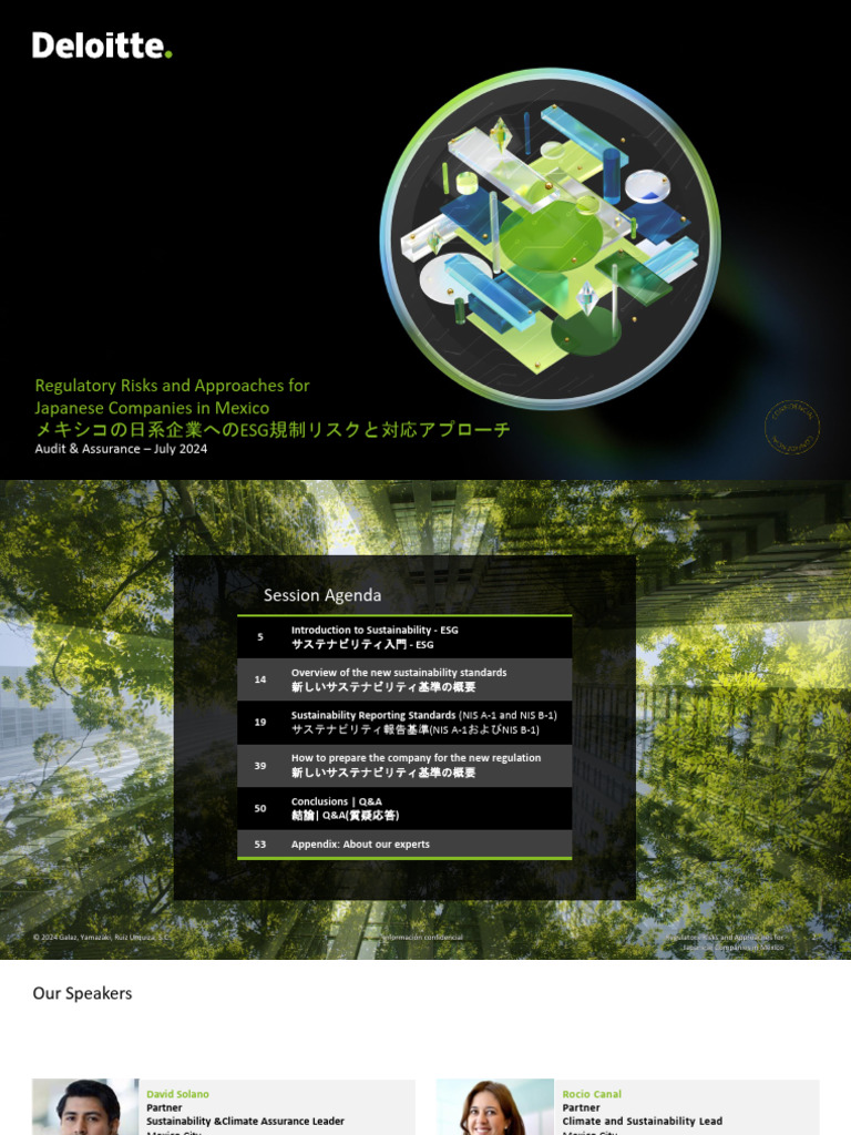 Deloitte NIS A-1 y B-1 | PDF | Corporate Governance | Financial Services