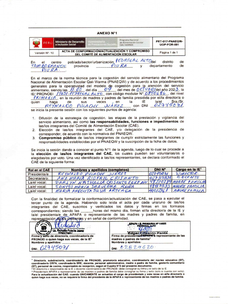 Cae 1. Acta de Conformación | PDF