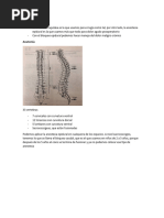 Anestesia Raquídea: Técnica y Complicaciones | PDF | Anestesia | Fluido ...