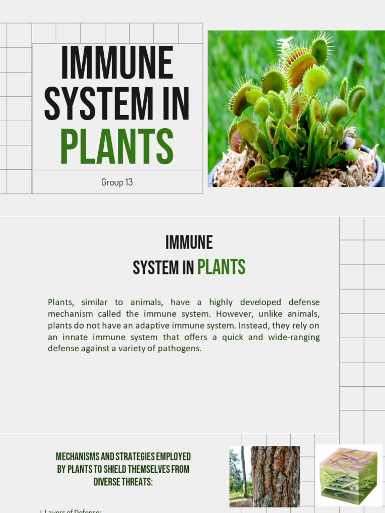 Immune System Plants | PDF | Immune System | Herbivore